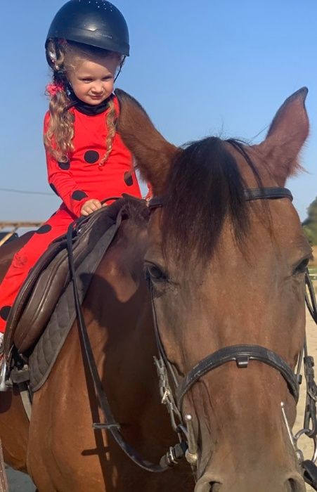 Echitatie Bucuresti la HOBBY LAND Ranch. Ganeasa • OLX.ro