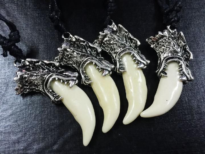 Medalion hand-made din COLT REAL DE LUP ( craniu, colti, trofeu )_1 ...