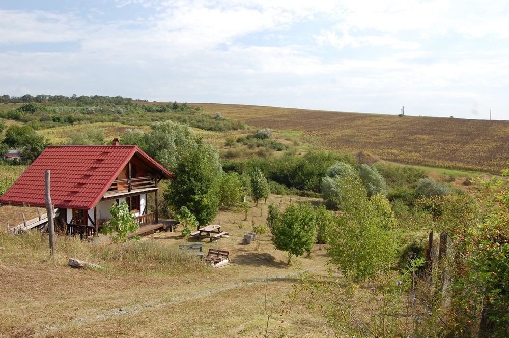 Vânzare teren in Chițoc Vaslui Chitoc • OLX.ro