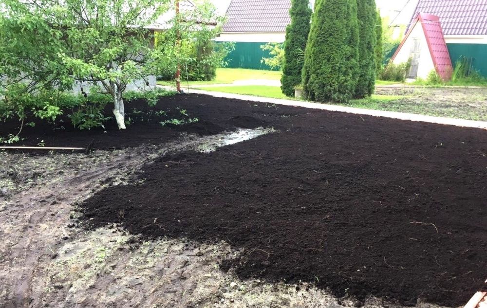Mraniță si PĂMÂNT NEGRU vegetal de padure Iasi • OLX.ro