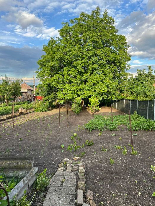 Casa de Vanzare zona Baile Sarate | Salina Turda Turda • OLX.ro