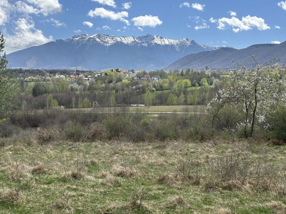 Proprietar teren(intravilan) Bran-Predelut Tohanita ideal afacere Bran ...