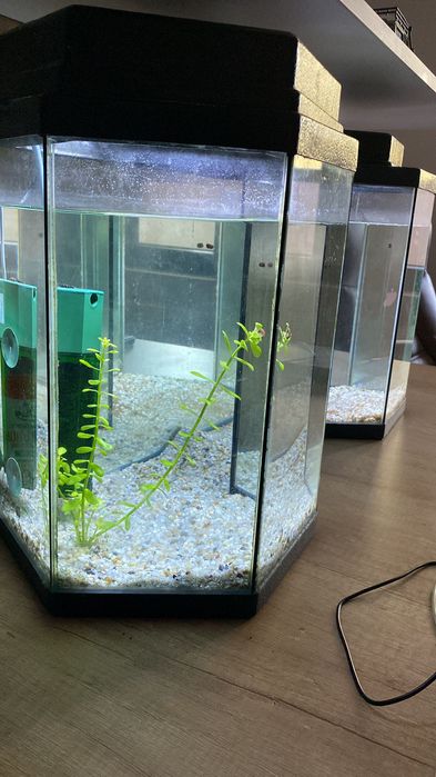 Acvariu unic bi-hexagon filtru intern led pesti acvaristica nu schimb ...