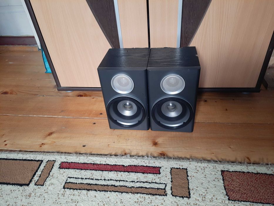 Boxe 2 cai Tevion Zarnesti • OLX.ro