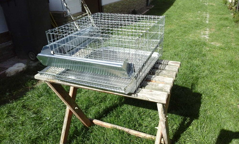 Cusca pentru 25 si 50 prepelite Brasov • OLX.ro