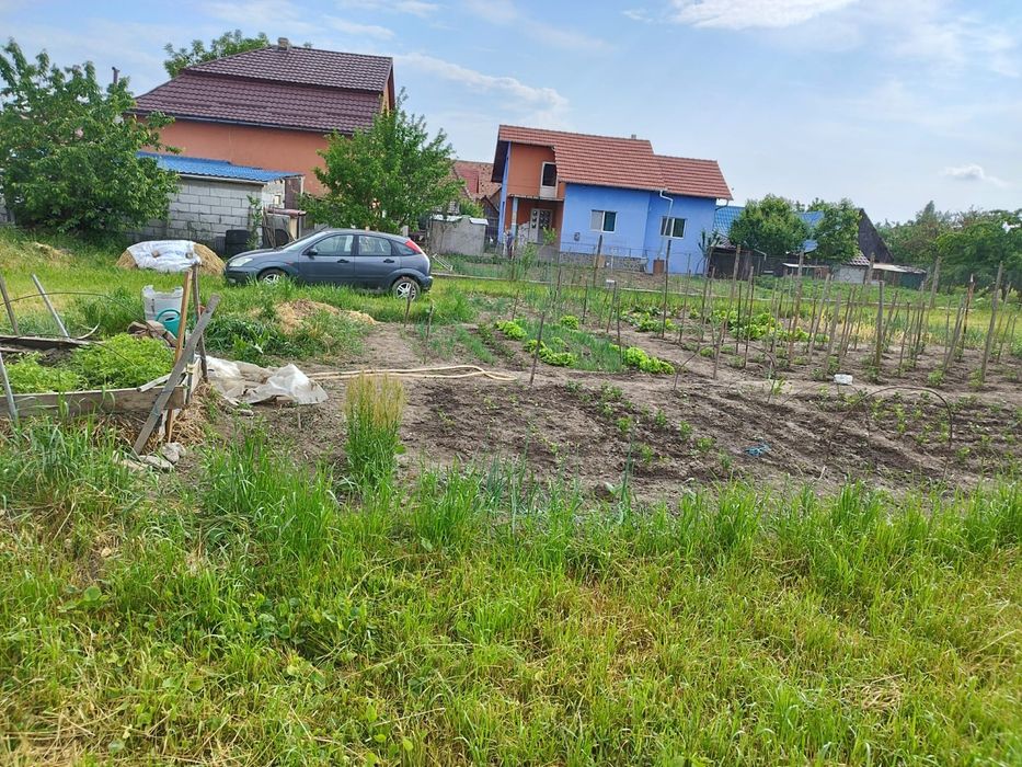 Vind teren pentru constructia unei locuinte Mihai Viteazu • OLX.ro