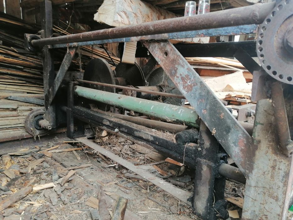 Holt gater cu o panza Frumosu • OLX.ro