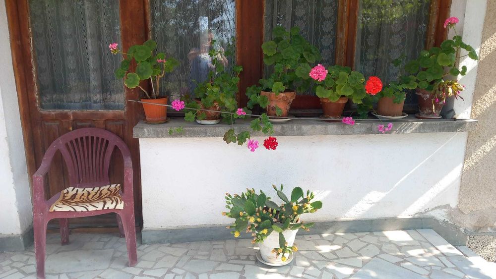 Продавам къща 94 кв.м. в с.Ястребово 70000 евро с. Ястребово • OLX.bg