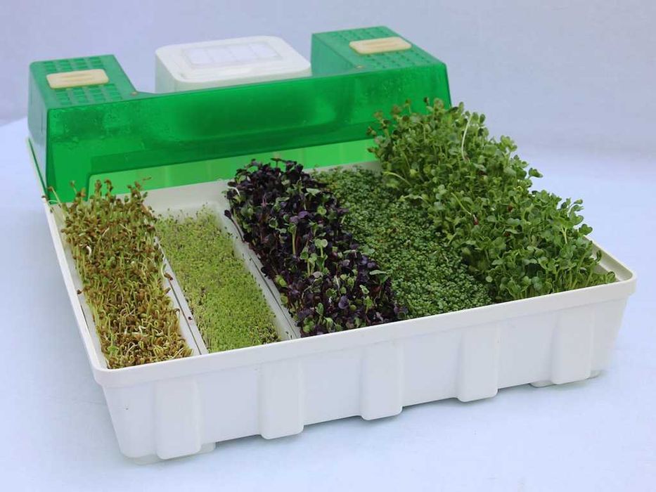 Minisera, germinator automat - EASYGREEN EGL 55 SH Bucuresti Sectorul 1 ...