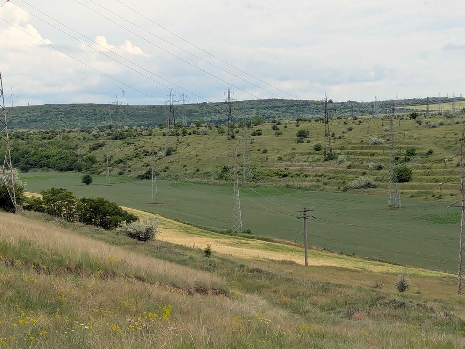 Teren extravilan 3.00 Ha langa Gara de marfuri - Tulcea Tulcea • OLX.ro