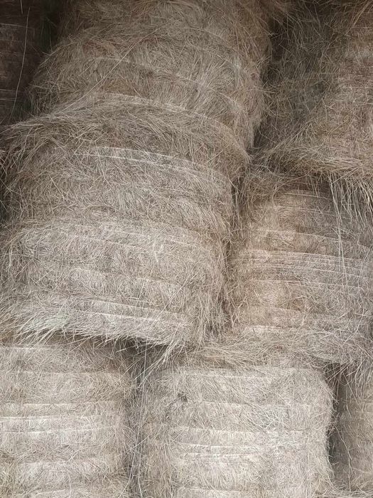 Vând baloti rotunzi de fân foarte frumosi de 150 cm Valeni • OLX.ro