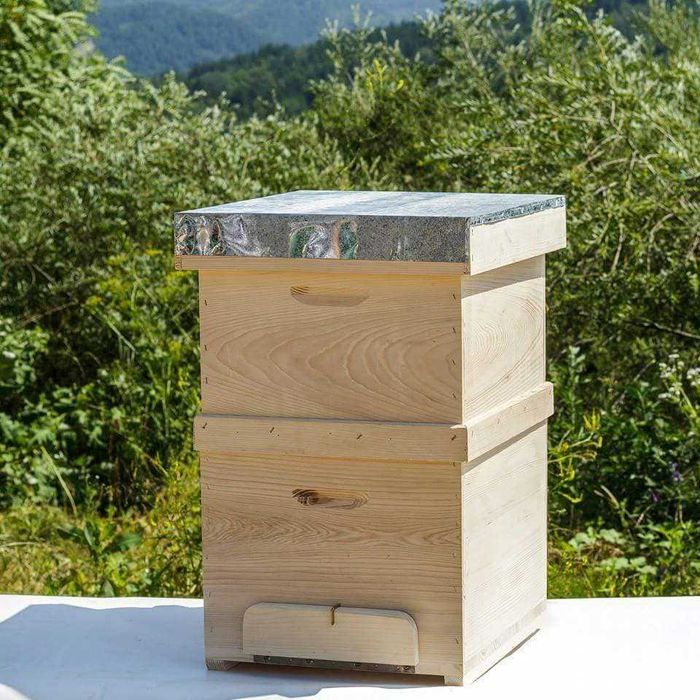 Stupi și subansamble apicole de calitate ! Ilfov Buftea • OLX.ro