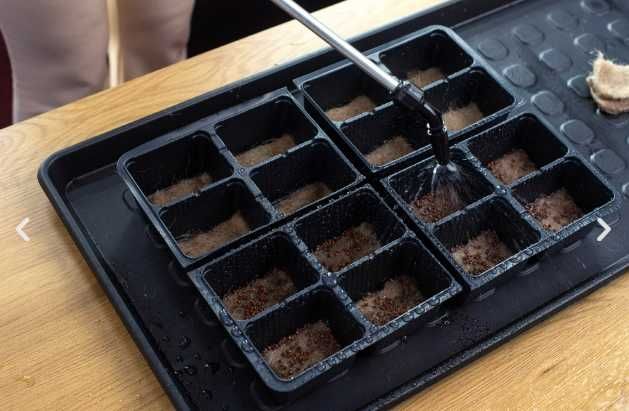 MicroSera MicroPlante Microgreens Adjud • OLX.ro