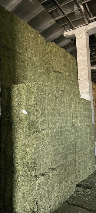 Baloti lucerna deshidratata / peleti / produse furajere Cataloi • OLX.ro