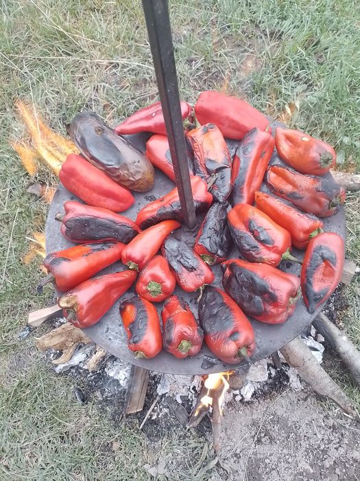 Gratar din taler de disc Hateg • OLX.ro