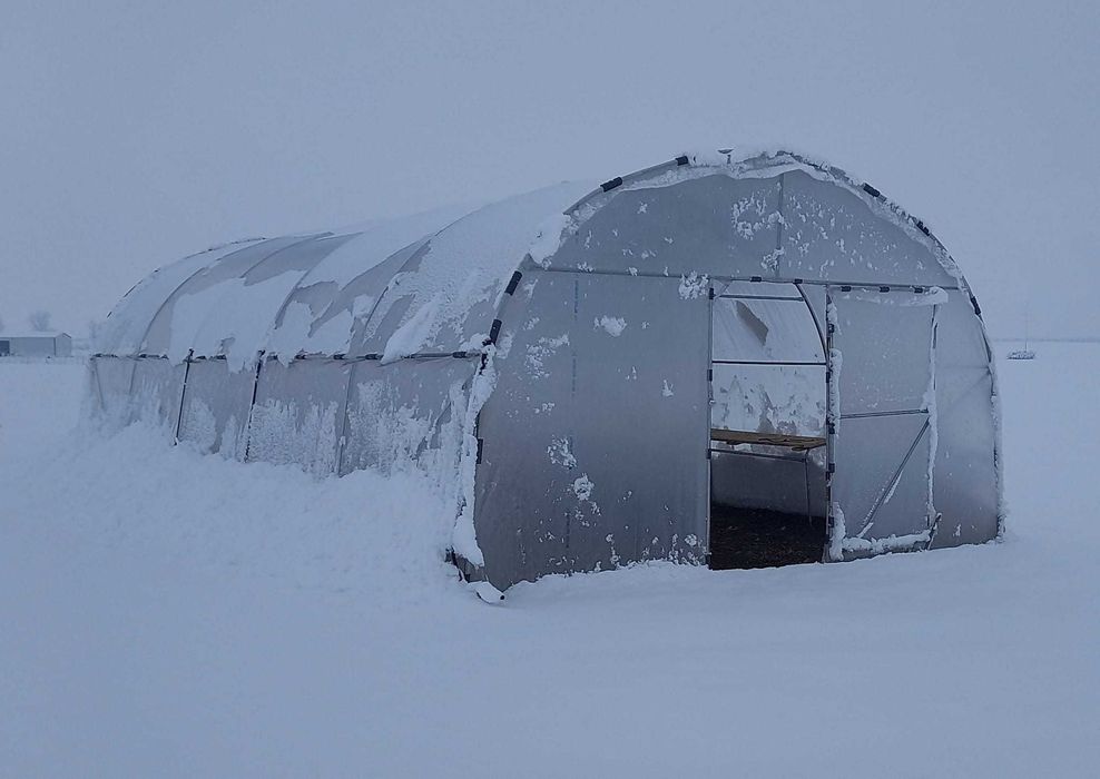 Solar legume profesional, complet echipat. Solar gradina. solarii ...