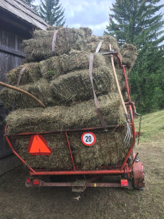 Baloti de fan! Productie 2024 Ghimes-Faget • OLX.ro