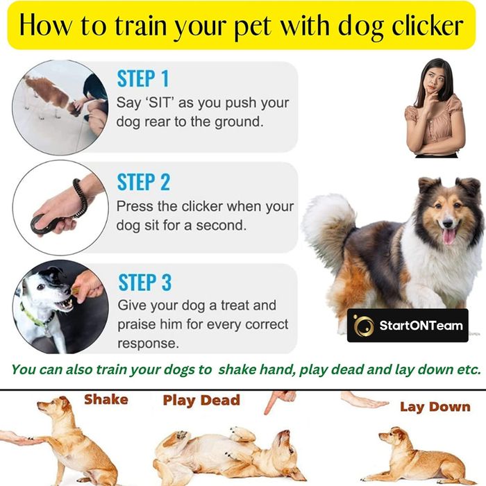 Fluier Antilatrat Caini Dresaj Îndepartat Caini Agresivi Ramnicu Valcea ...