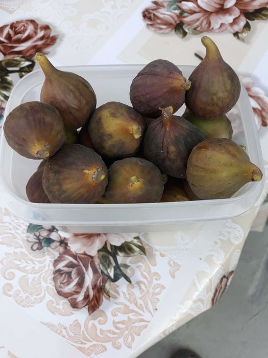 Smochini cu fructe mov , diverse marimi Craiova • OLX.ro