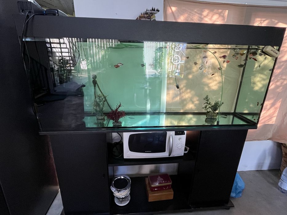 Vand acvariu 400 l Codor • OLX.ro