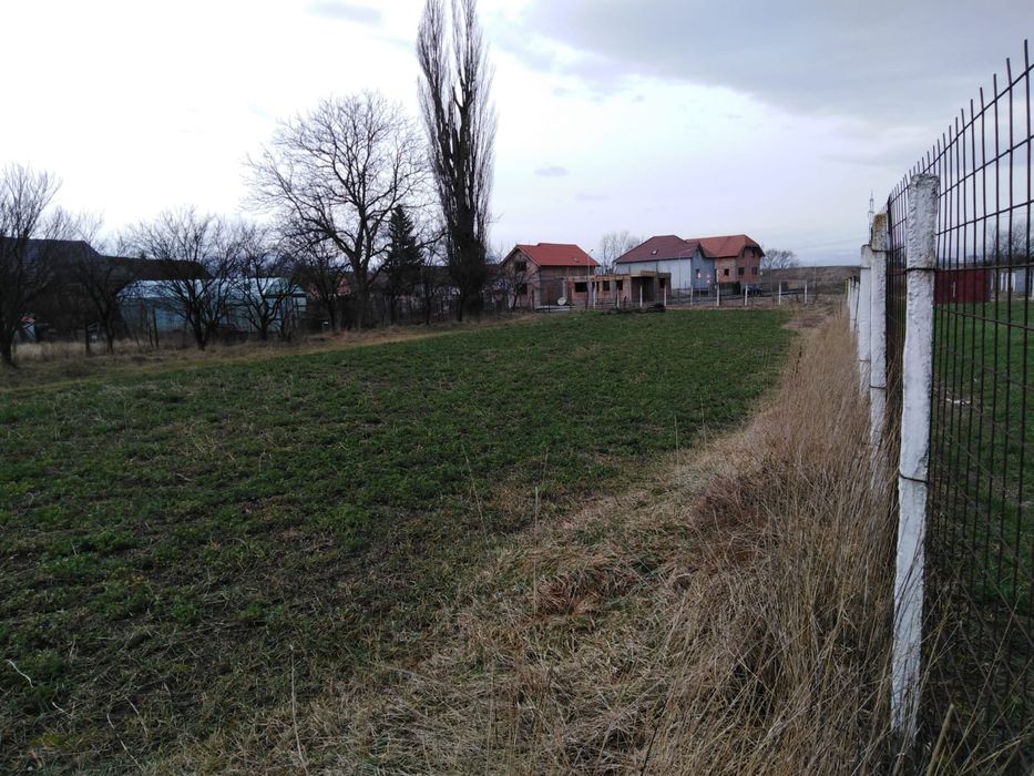 Teren construcții - sat Bungard Bungard • OLX.ro