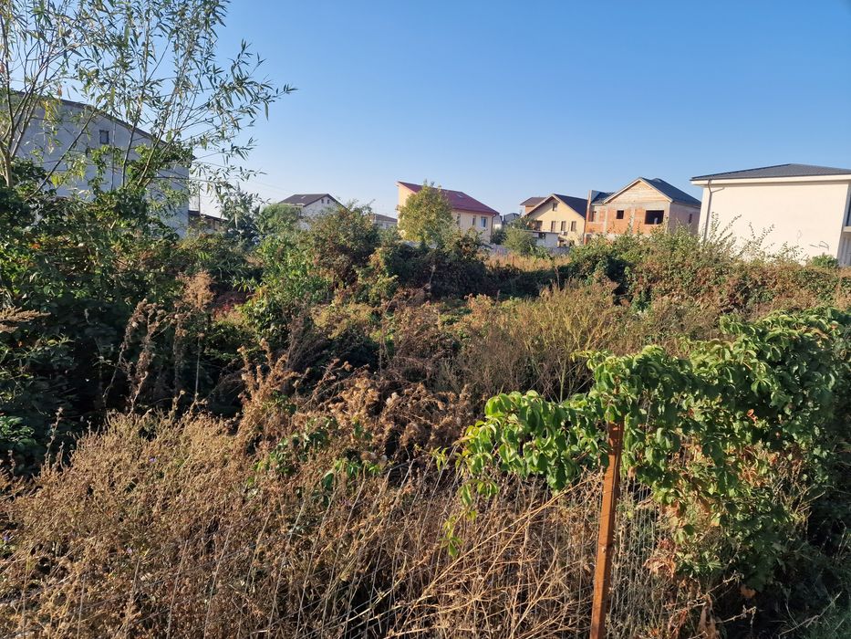 Teren 500 mp, zona case noi, 25m deschidere, Sat Catelu (Pallady) Ilfov ...