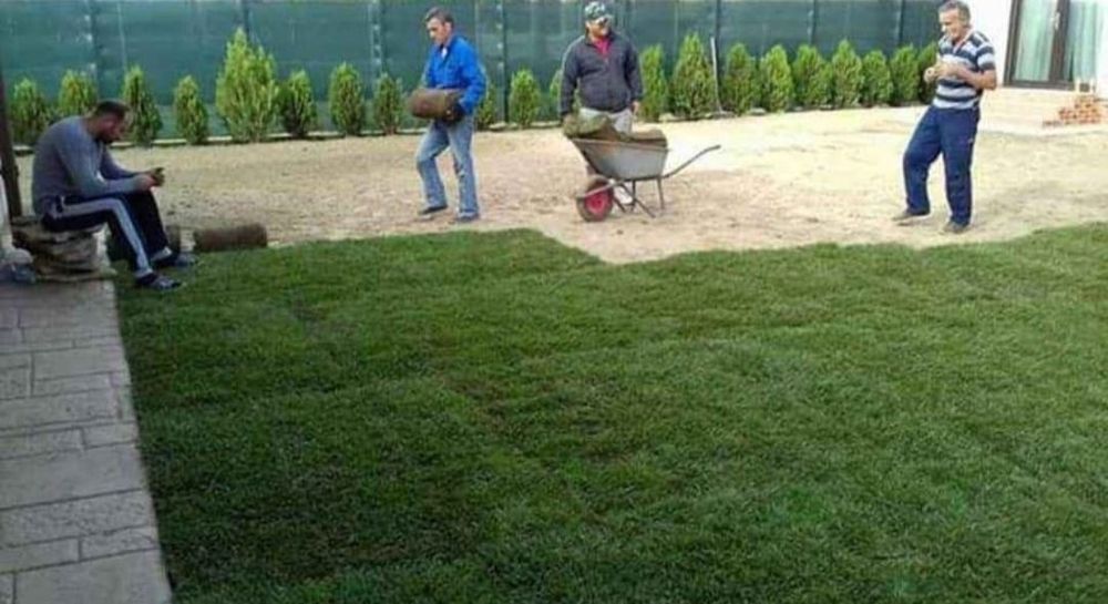 Gazon rulou Sport, Amnajam spații verzi, insamantare Amnajam terenul ...