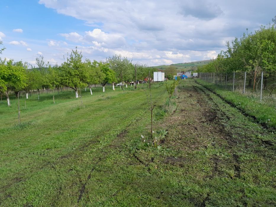 Teren intravilan cu utilitati, cabana și garaj sat Pata Cluj Pata • OLX.ro