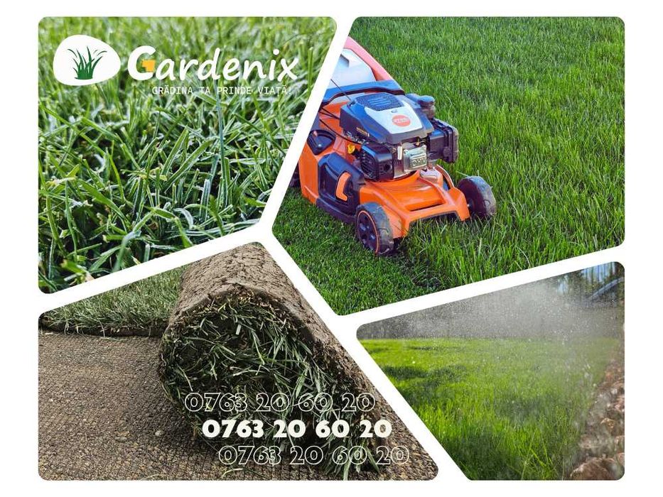 Mententanța gazon, scarificare, însămânțare, rulou, irigații #Gardenix ...