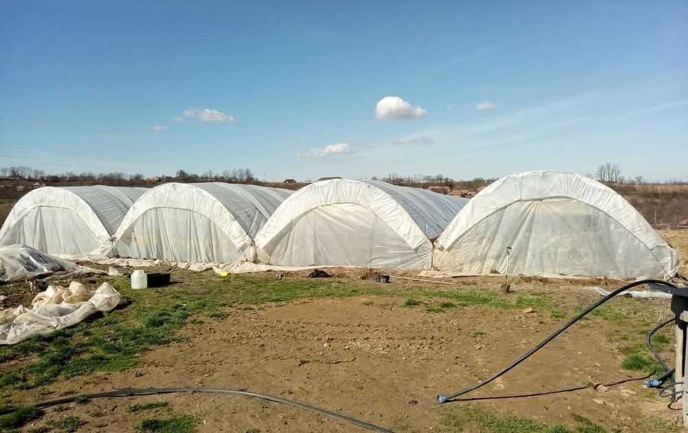 Solar sera macrotunel Horoatu Crasnei • OLX.ro