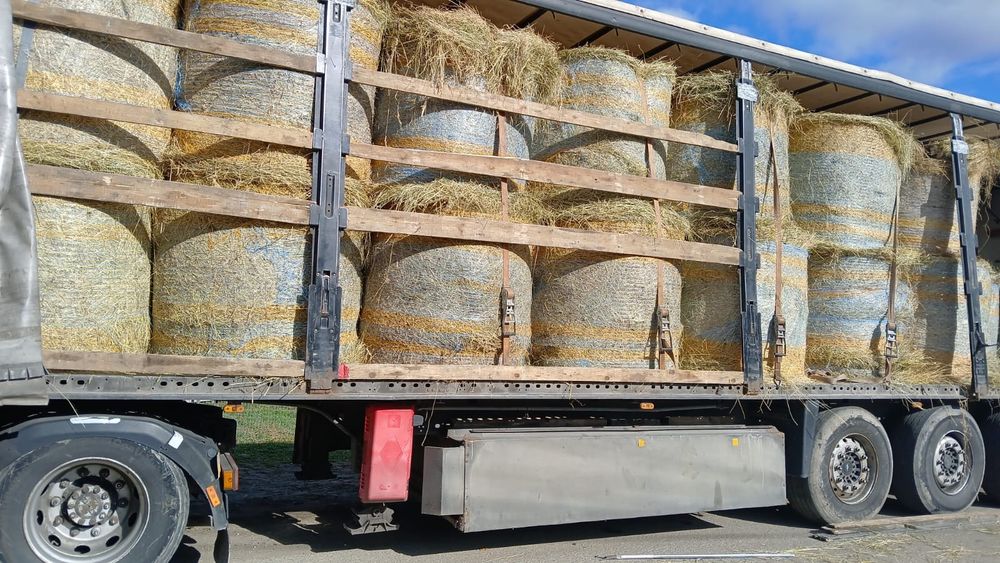 Baloti lucerna rotunzi sau Fan.min.40.drept.500.LaTIR.Transport inclus ...