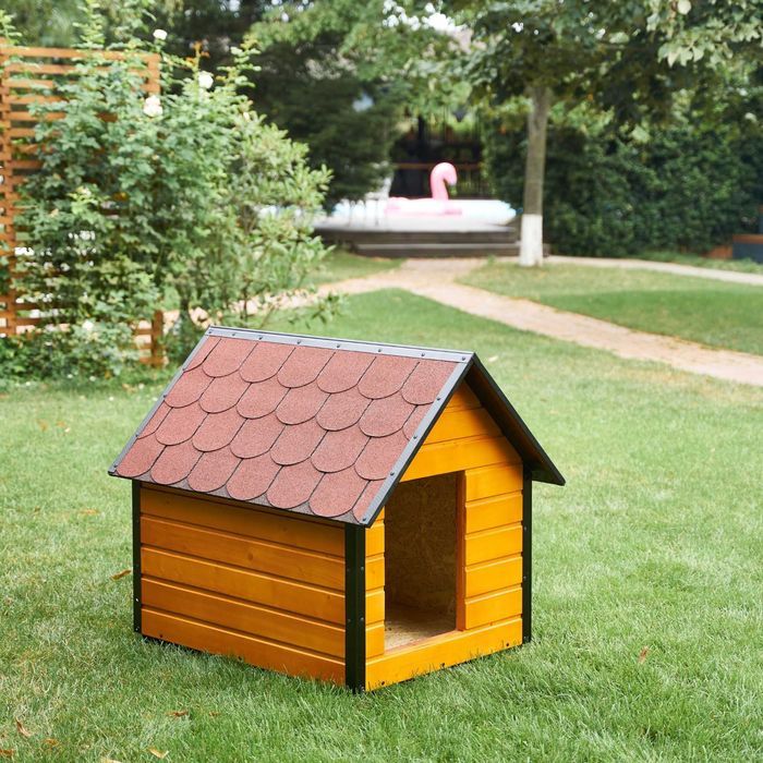 Cusca Caine Izolata (ASI), Profile Metalice Antiros, Garantie Bucuresti ...