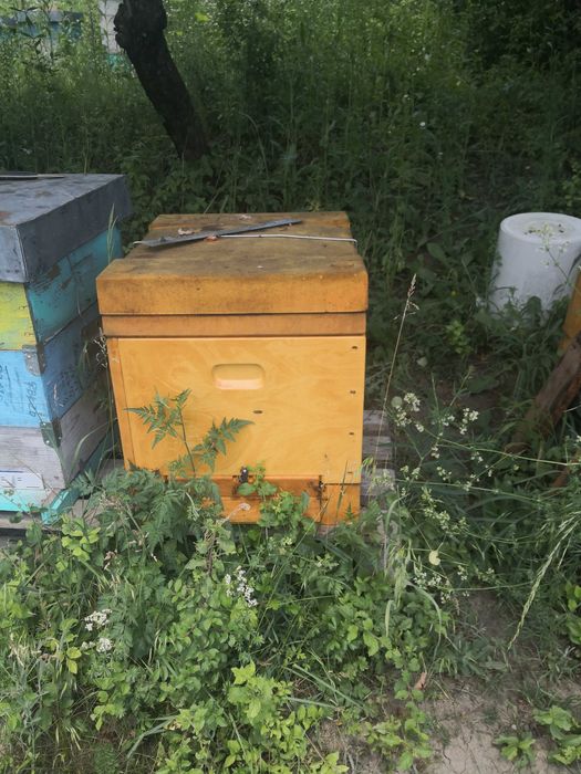 Stupi poliuretan Faro Stup Cluj-Napoca • OLX.ro