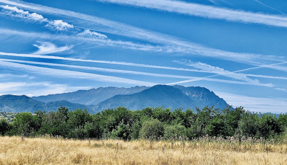 Teren intravilan 1000 m Tohanu Nou - Bran Tohanu Nou • OLX.ro