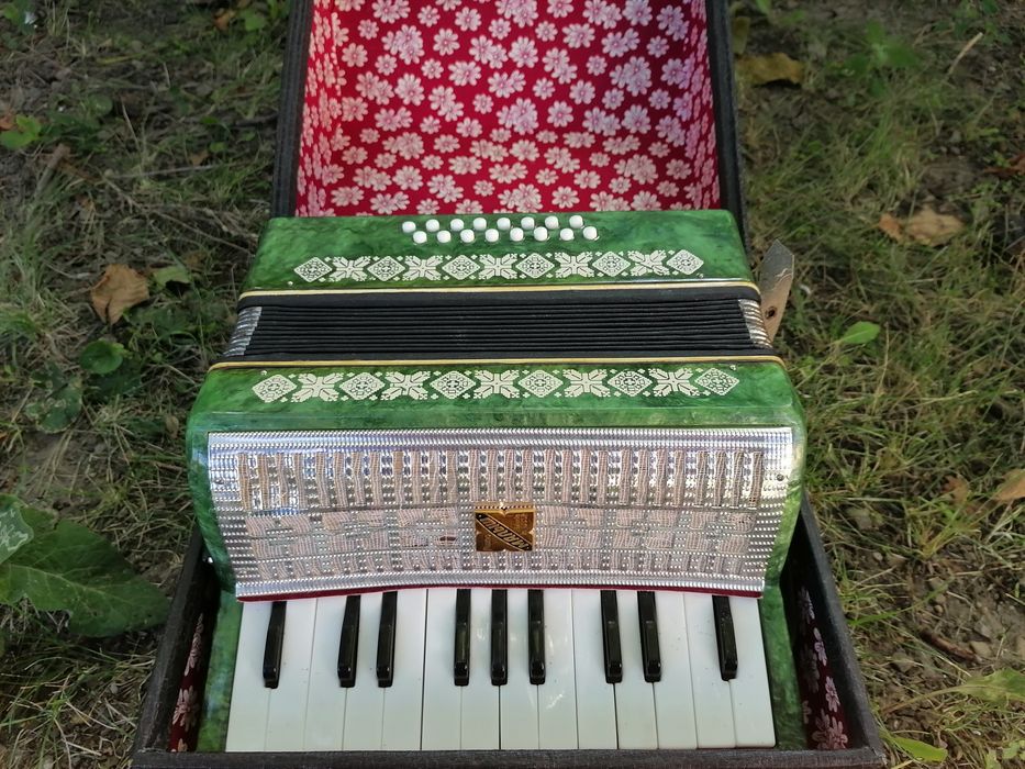 Acordeon pentru copii Focsani • OLX.ro