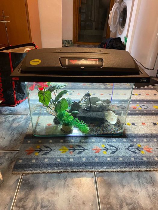 Acvariu + accesorii , fara pesti sau alte vietati Slatina • OLX.ro