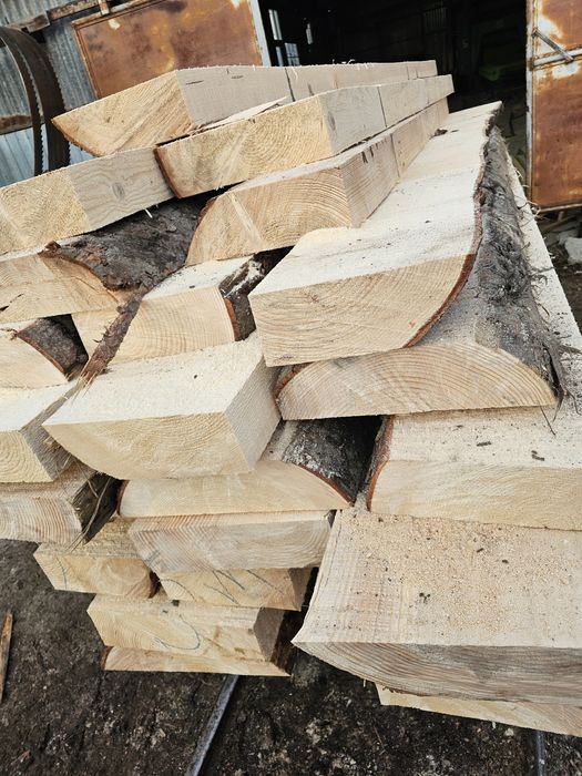 Gater codle brasov Codlea • OLX.ro