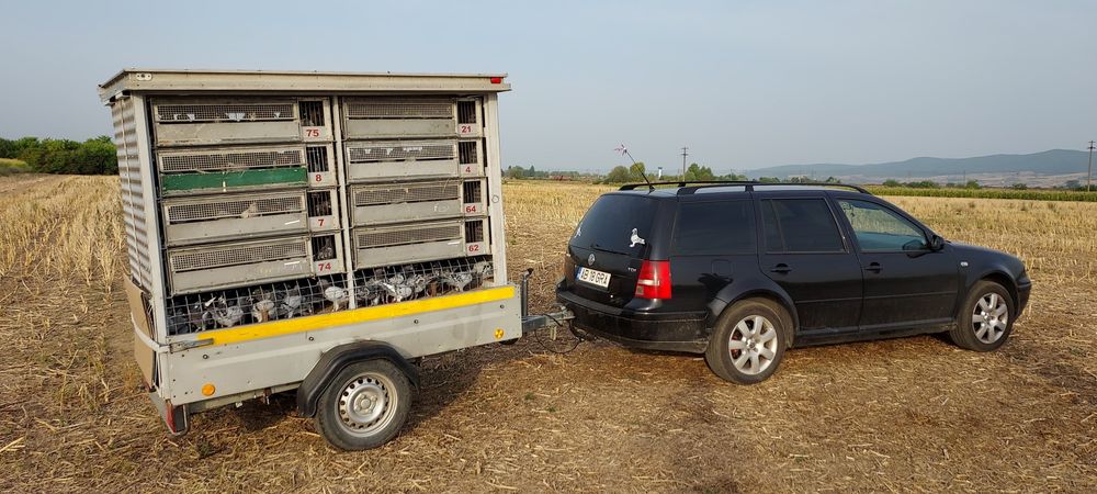 Vând remorca+container transport porumbei Cugir • OLX.ro