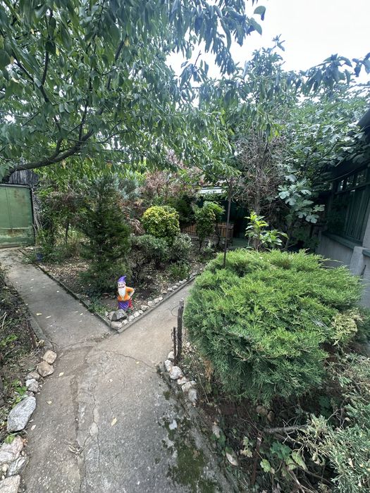 Vand casa in comuna Ghioroc jud Arad Arad • OLX.ro