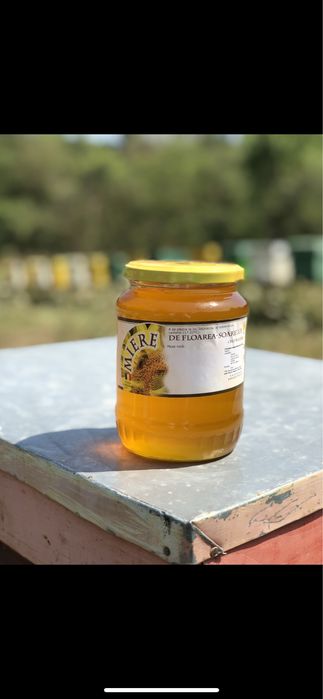 Miere poliflora (tei+floarea soarelui) Dudu • OLX.ro
