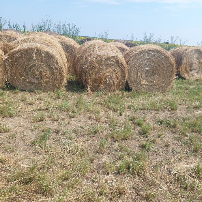 Baloti rotunzi de lucerna cu fan coasa 1 și 2 Ostroveni • OLX.ro