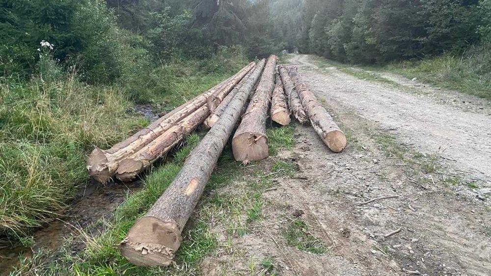 Padure de vinzare Neamt, Pipirig Pipirig • OLX.ro