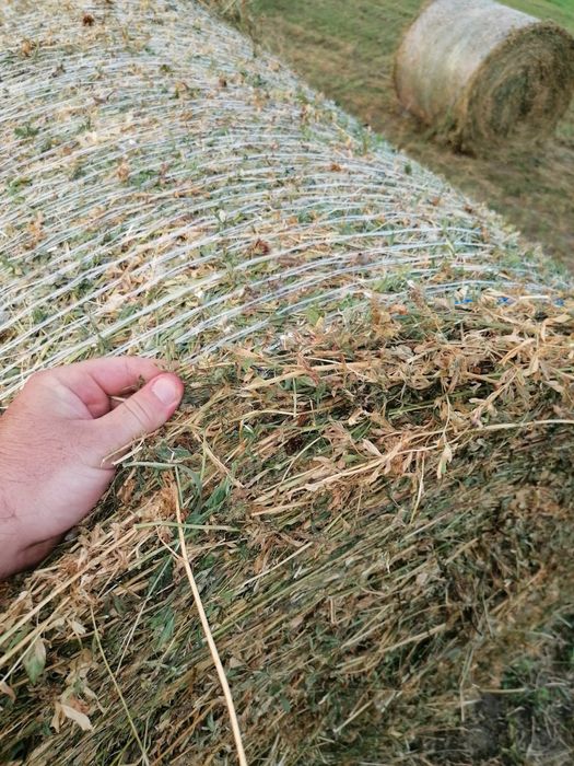 Baloti rotunzi lucerna coasa 1 Archid • OLX.ro