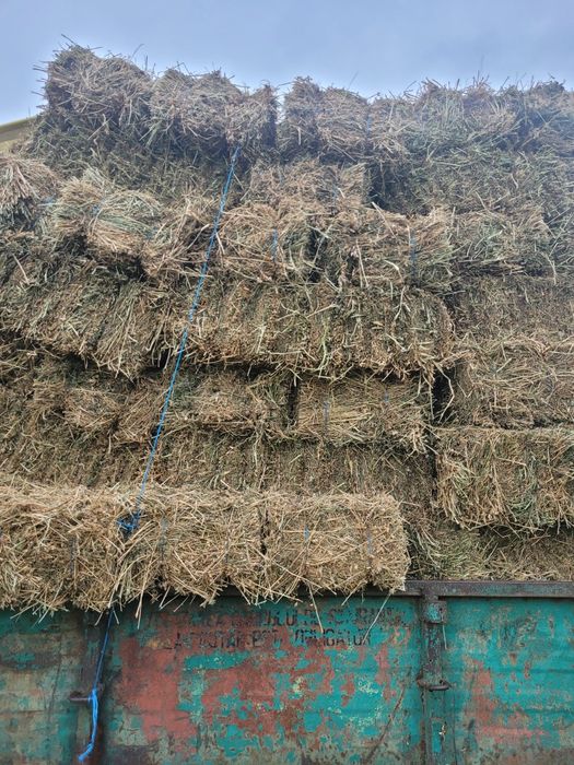 Vând balotii de fân , lucerna , ovăz și amestecatura de lucerna ...