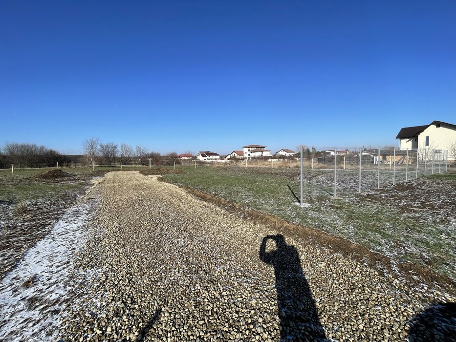 Teren buftea intravilan Ilfov Buftea • OLX.ro