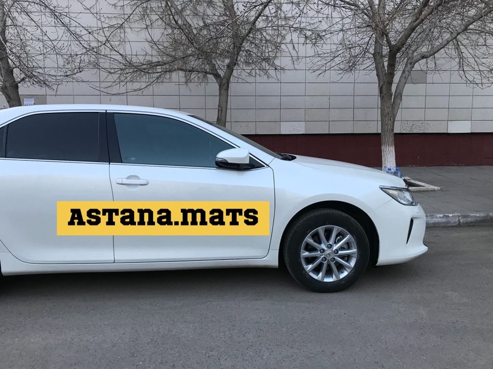 Авто шторки Камри 30/40/50/70 Прадо 120/150 Кузак 80/100/105/200/300 ...