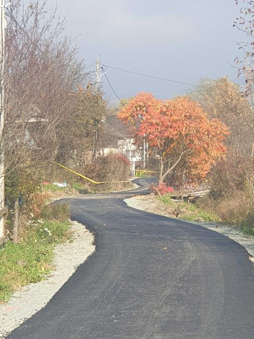 Dumbravita - Unguras , teren intravilan 5 ari , 11000 euro. Baia Mare ...