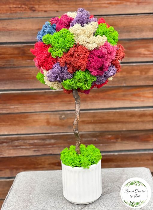 Anunturi Gratuite - Peste 4 milioane anunturi - OLX.ro