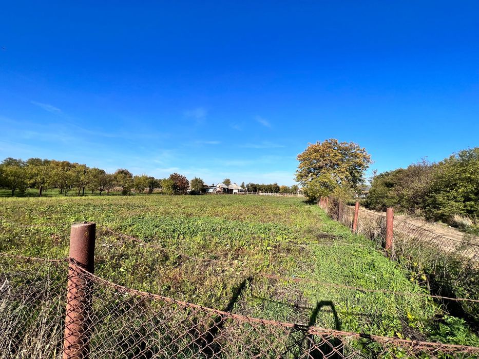 Vând proprietate deosebită, 8 km de Satu Mare – Apateu Apateu • OLX.ro