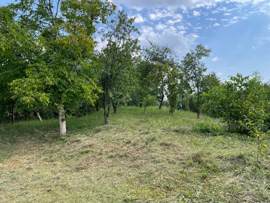 Casa de vanzare Brancovenești Reghin • OLX.ro